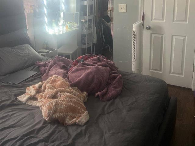 Furnished Shared Studio Apartment