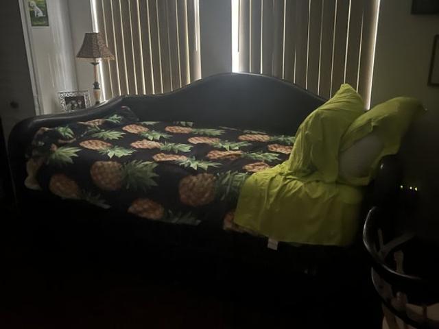 Furnished spare bedroom with a view priv bathroom
