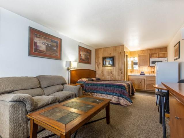 Furnished Studio Apartment