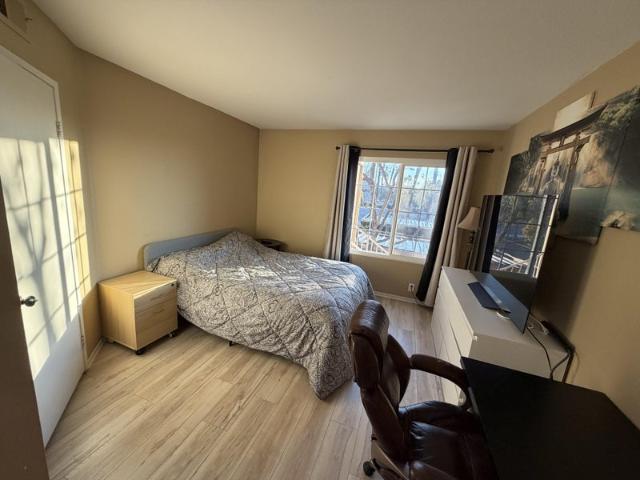 Furnished Private Master Bedroom and Bathroom
