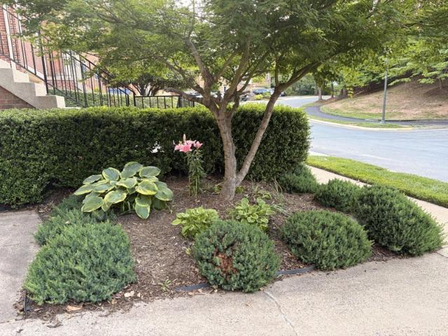 Furnished Room, Townhouse near GMU Shuttle Stop