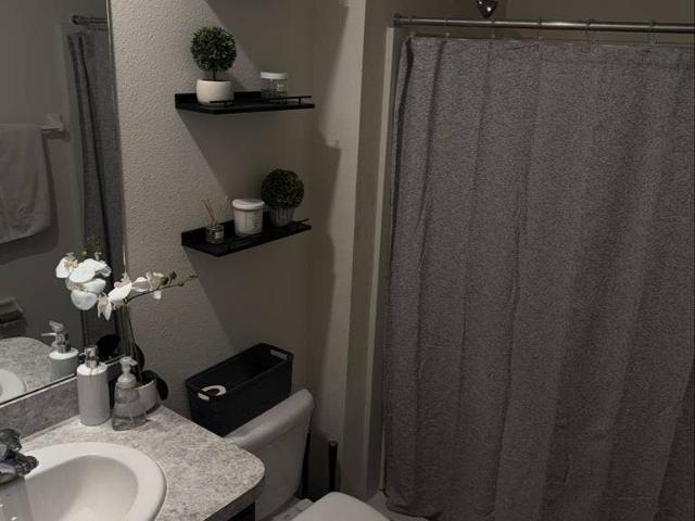 Furnished Room, Wimauma