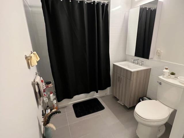 Furnished Room Available in Luxury Flatbush Apt