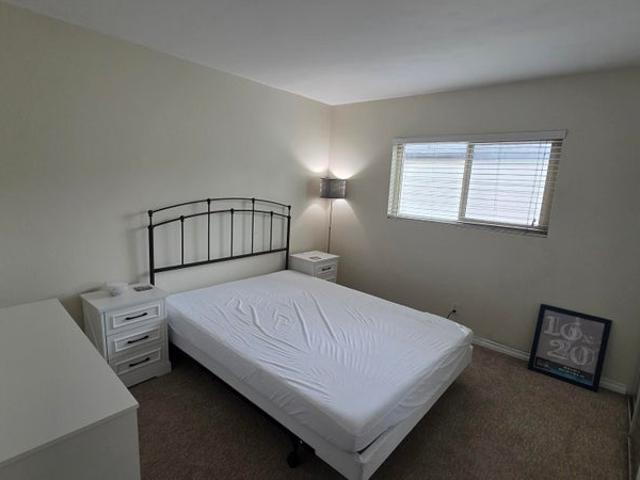 Furnished Room Available in University Heights