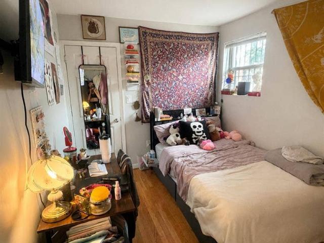 Furnished Room | Briarwood, Queens