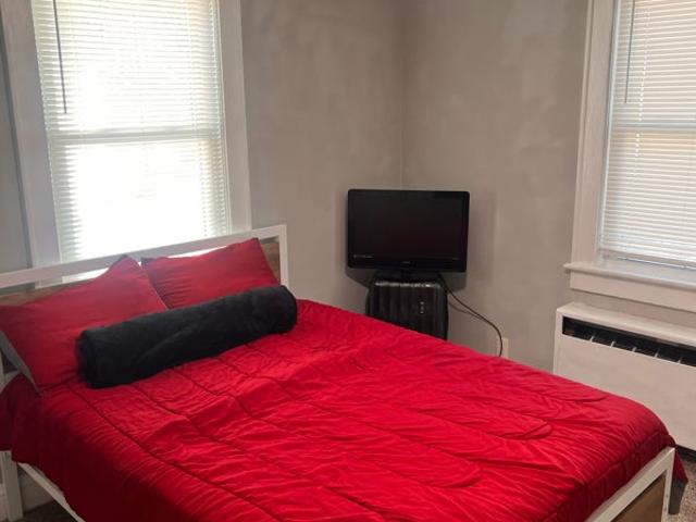 Furnished Room facing back yard downstairs apt