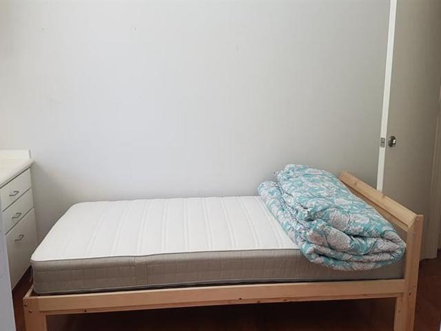 Furnished Room for rent in the Meyerland area