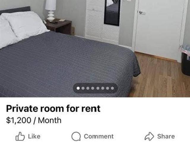 ✨ Furnished Room in Dadeland