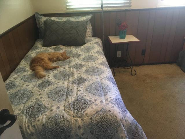Furnished room in quiet house with POOL