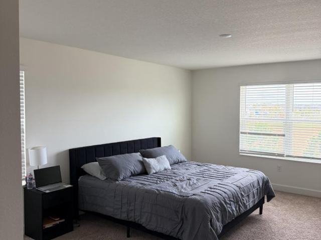 Furnished room. New house in Davenport