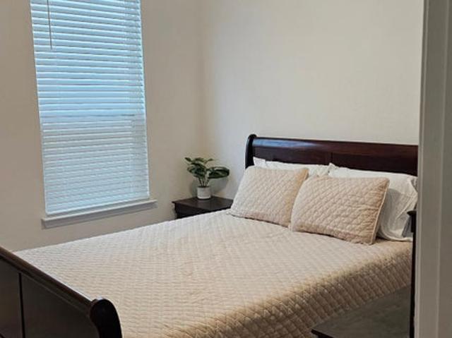 Furnished Rental in Converse