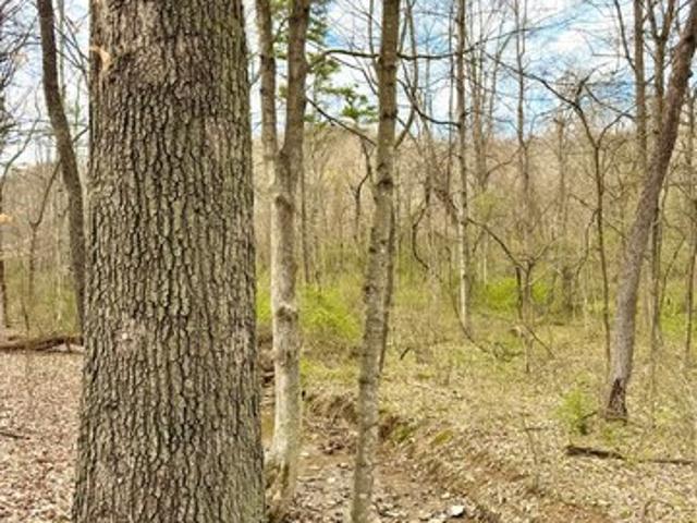 Fyffe Hollow Rd, Franklin Township, OH 45601