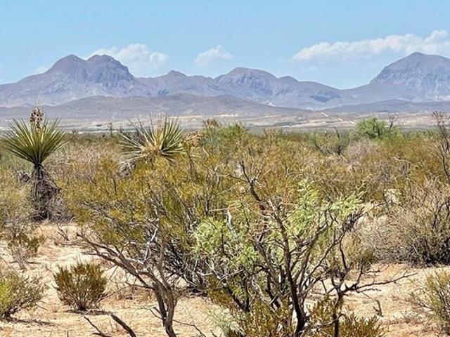 G553 Dean St, Terlingua, TX 79852