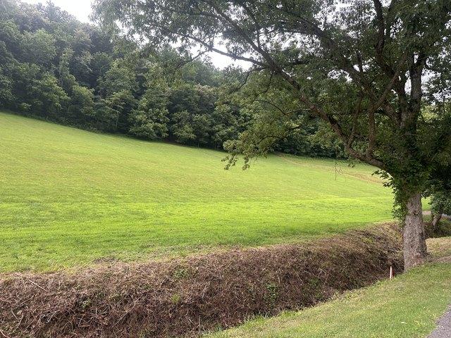 G Dias Ln, Dixon Springs, TN 37057