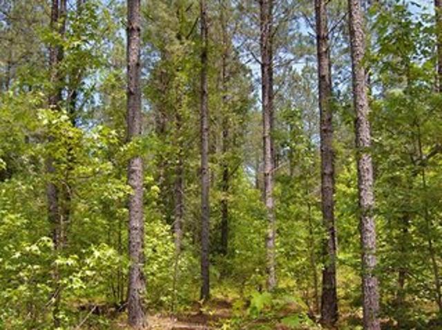 G F Ball Rd, Louisburg, NC 27549