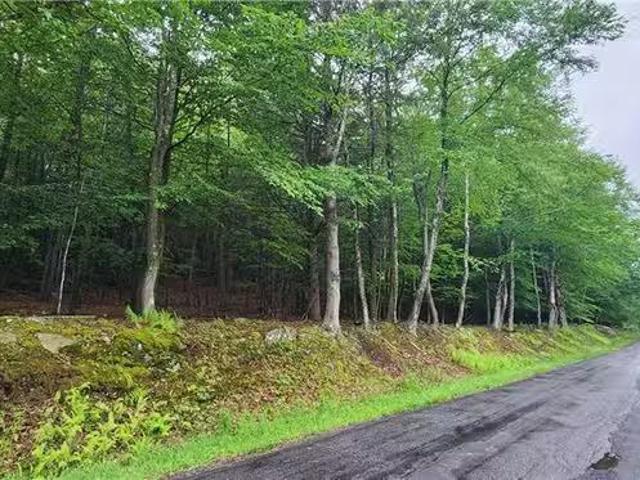 g REY ROAD, SOUTH FALLSBURG, NY 12779 Vacant Land For Sale ML.