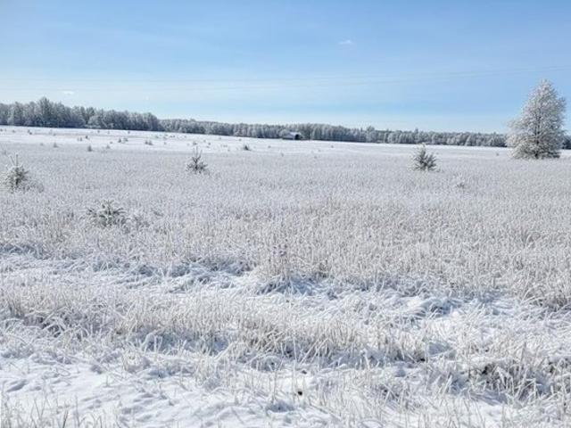 G Walton Rd, Kingsley, MI 49649