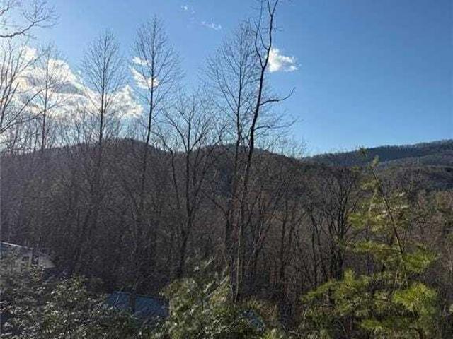 GA GA 102588476