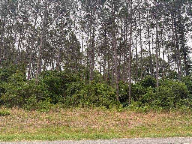 GA Highway 256, Norman Park, GA 31771