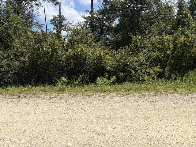 Gambier Dr, Alford, FL 32420