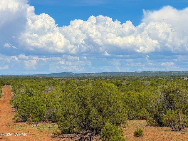 Gample 13 Acres Ln Lot C, Show Low, AZ 85901