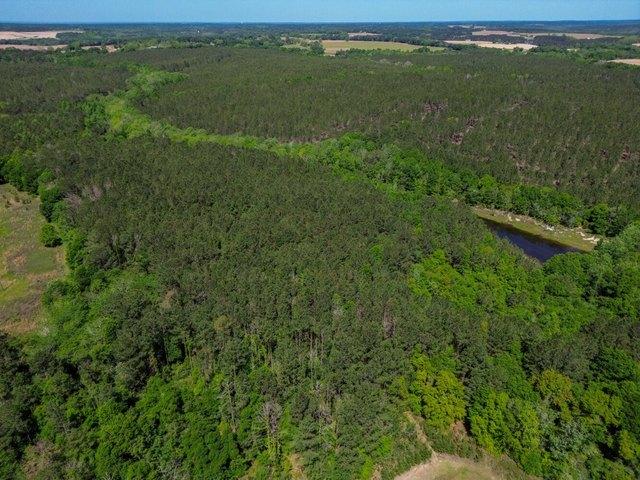 Gantt Rd, Red Level, AL 36474
