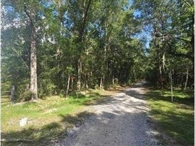 Gandy, Kountze, TX 77625