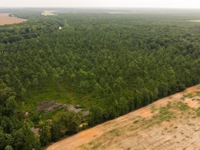 Gabe Ln, Bastrop, LA 71220