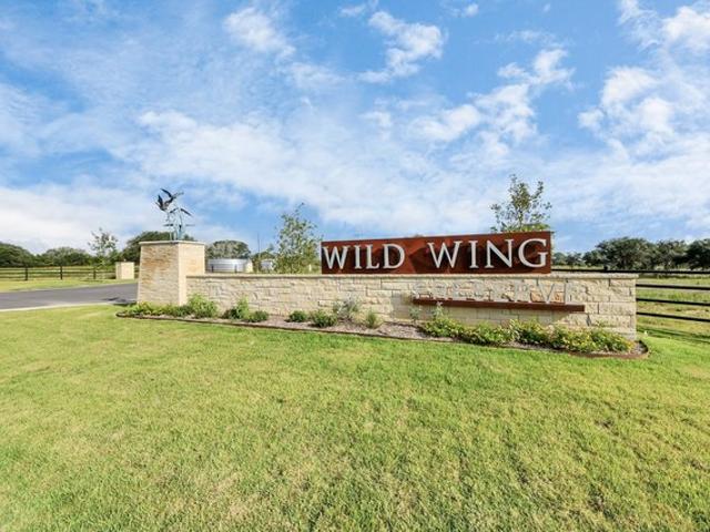 Gadwall, Columbus, TX 78934