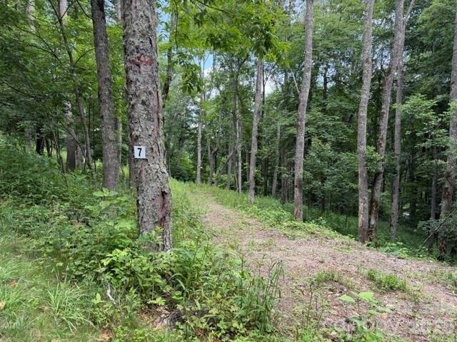 Gadohi Trl Lot 7, Maggie Valley, NC 28751