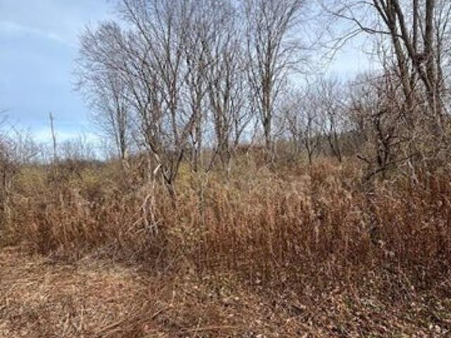 Gage Rd, Duanesburg, Plot For Sale