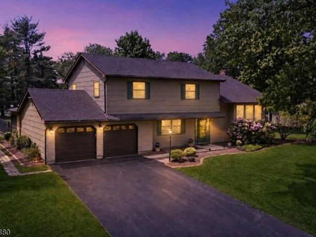 Gail Ct, Hillsborough Twp, Home For Sale