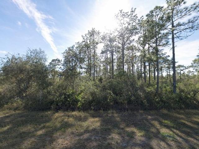 Gaillardia Dr, Indian Lake Estates, FL 33855