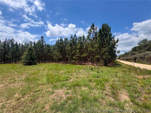 Gainey Rd, Raeford, NC 28376