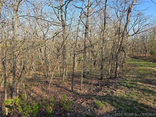 Galvin Pl Lot 2283, Edwards, MO 65326