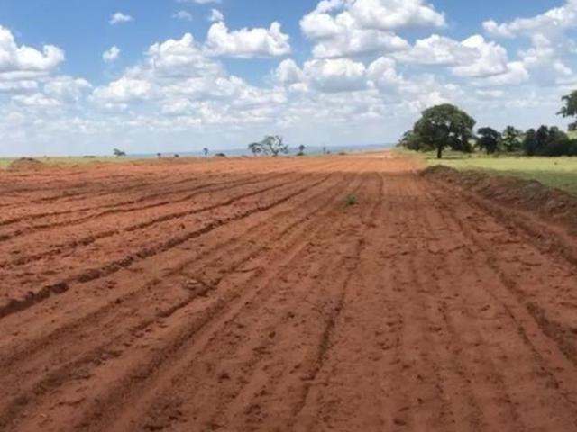 galinha morta! o preço foi reduzido de 280 milhões são 12 mil há