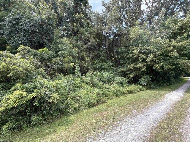 Gall Ave, Belington, Plot For Sale