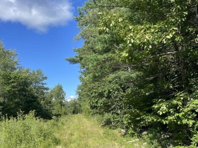Gallant Ave Lot,sanford, Plot For Sale