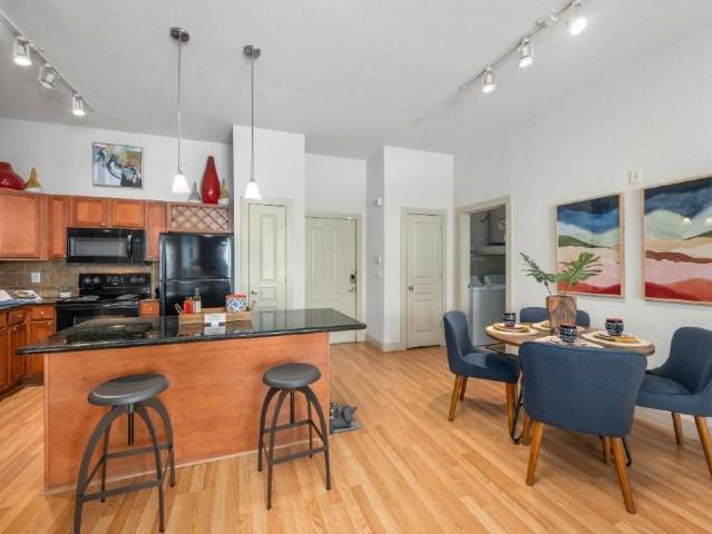 Galleria Parc Apartments 1 Bedroom Apartment for Rent at 3363 Mccue Rd, Houston, TX 77056 Great Uptown