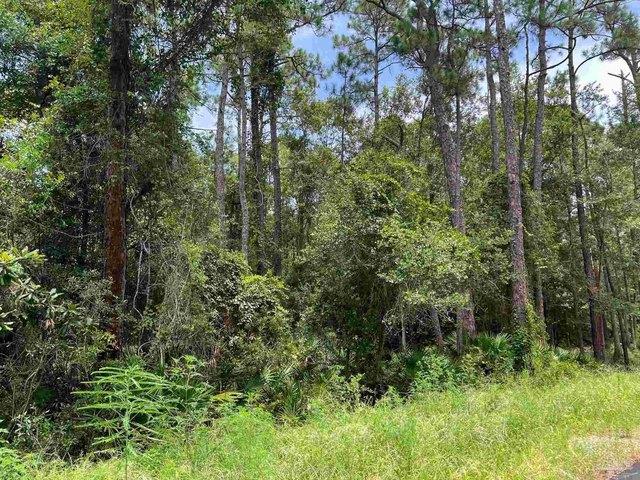 Galloway Ln, Gulf Shores, AL 36542