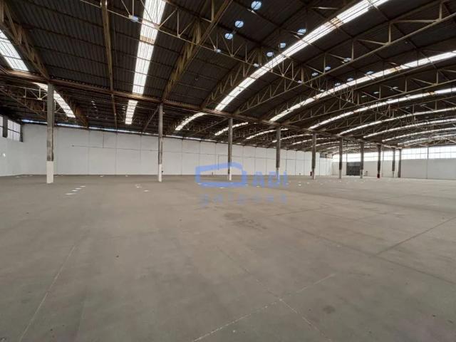 Galpão 8437 m² – 11 docas e pé direito 10 m – Castello Branco