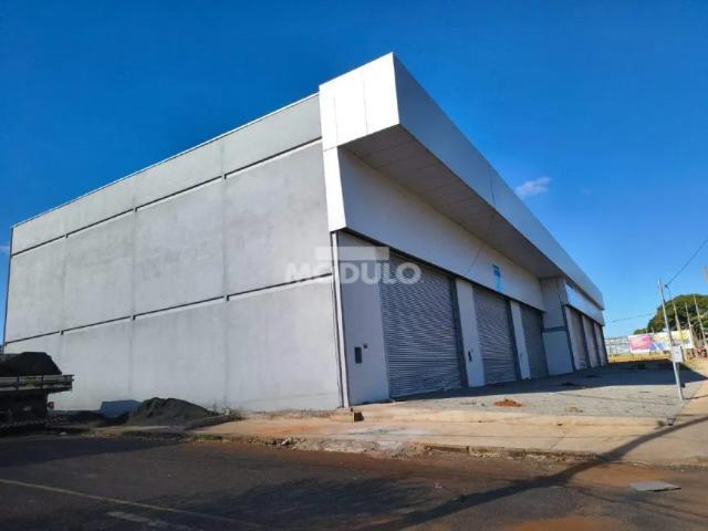 Galpão comercial para locação, bairro Santa Mônica