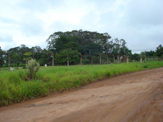 Galpão / Depósito / Armazém para venda em Chacara Das Flores em Dourado São Paulo de 12896.00m²
