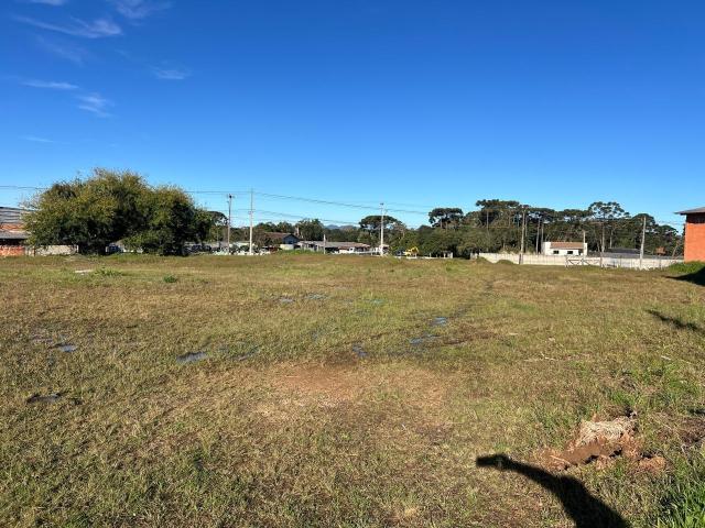Galpão / Depósito / Armazém para venda em Colonia Marcelino em São José Dos Pinhais Paraná de 1600.00m²