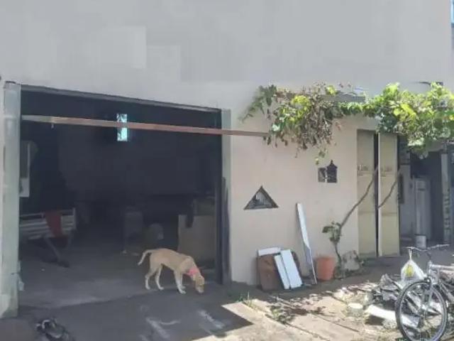 Galpão / Depósito para Venda em Uberlândia/MG Custódio Pereira 3 Quartos