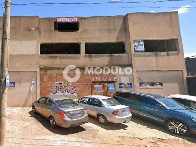 Galpão / Depósito para Venda em Uberlândia/MG Santa Luzia