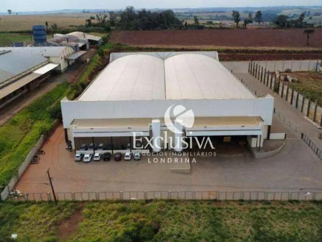 Galpão / Depósito para Venda em Arapongas/PR Área Rural de Arapongas
