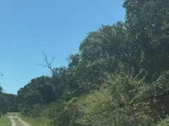 Galpão / Depósito para Venda em Araquari/SC Corveta