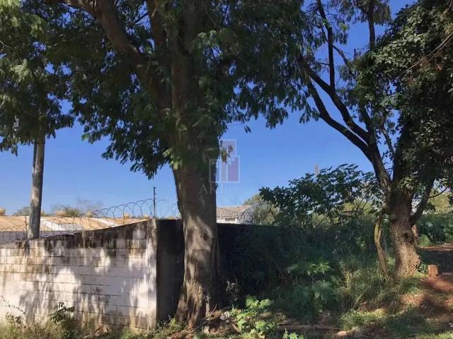 Galpão / Depósito para Venda em Bauru/SP Distrito Industrial Domingos Biancardi