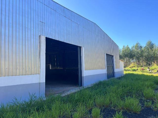 Galpão / Depósito para Venda em Botucatu/SP Distrito Industrial I